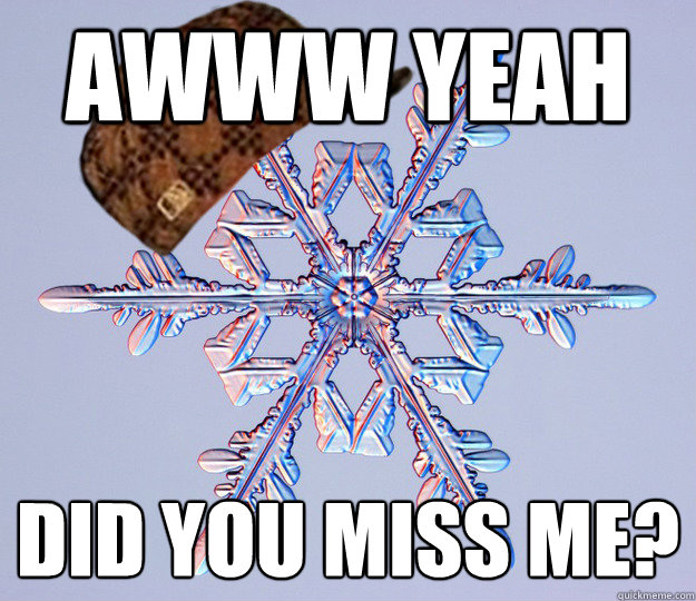 AWWW YEAH DID YOU MISS ME? - Misc - quickmeme