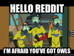 OWLS always love you NO - Owls - quickmeme