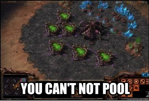 You can't not pool - Misc - quickmeme