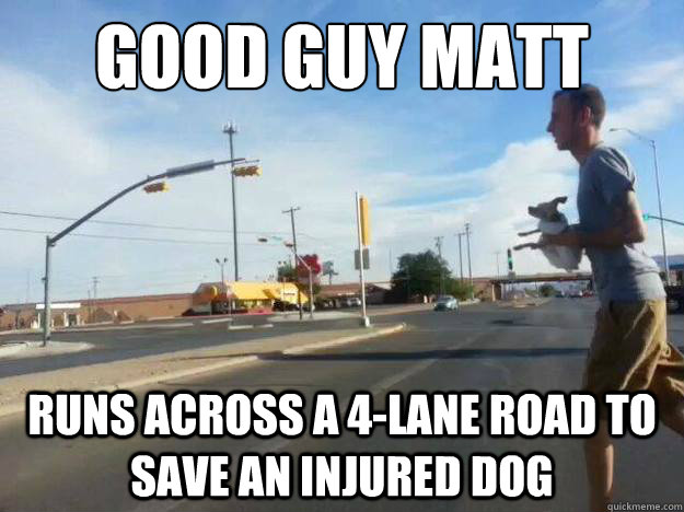 good guy matt runs across a 4-lane road to save an injured dog - GOOD GUY MATT - quickmeme