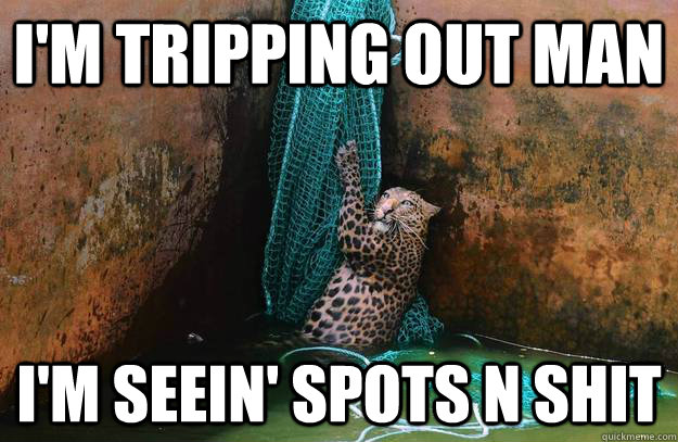 I'm tripping out man I'm seein' spots n shit - Bad trip leopard. - quickmeme