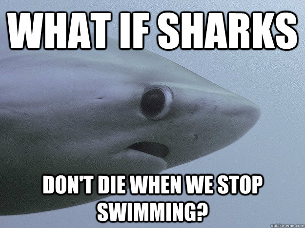 Conspiracy Shark memes | quickmeme