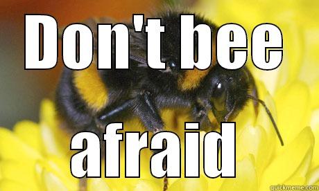 don't bee afraid - quickmeme