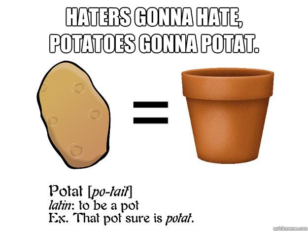 Haters Gonna Hate, Potatoes Gonna Potat. - Potatoes gonna Potat. - quickmeme