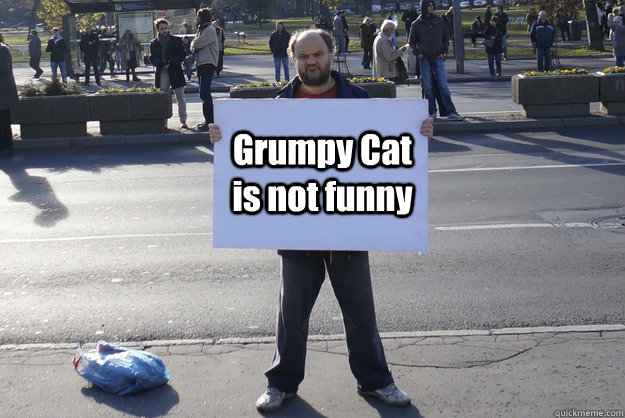 Grumpy Cat is not funny - Grumpy Serbian - quickmeme