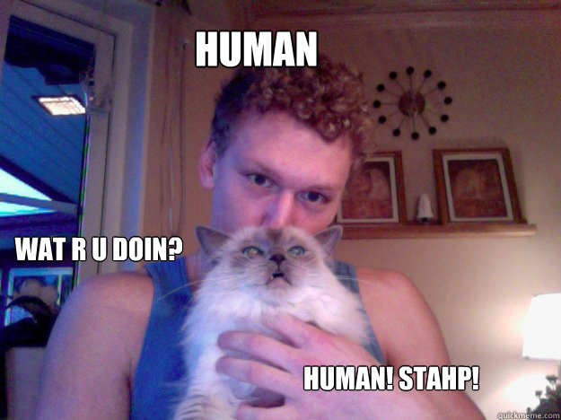 Human Wat r u doin? human! STAHP! - overly attached cat owner - quickmeme