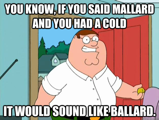 You know, if you said mallard and you had a cold it would sound like ballard. - Misc - quickmeme