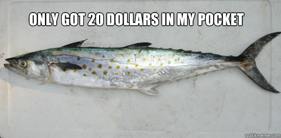 ONLY GOT 20 DOLLARS IN MY POCKET - mackelmore - quickmeme