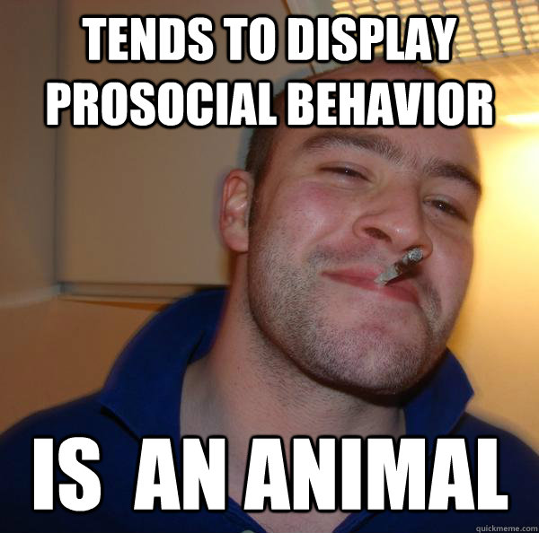 Tends to display prosocial behavior Is an animal - Misc - quickmeme