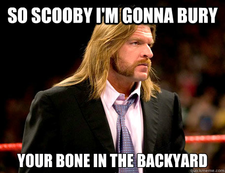 So Scooby I'm gonna bury Your bone in the backyard - political triple h - quickmeme