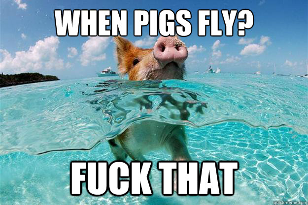 when pigs fly? fuck that - rebellious pig - quickmeme
