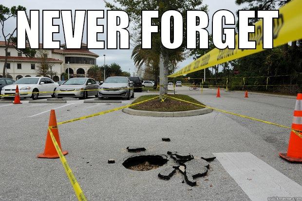 Never Forget Sinkhole - quickmeme