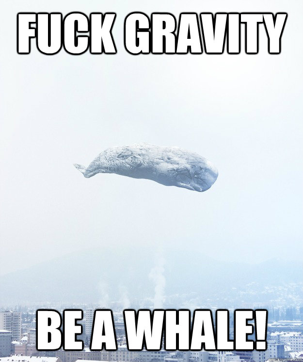Gravity Whale memes | quickmeme