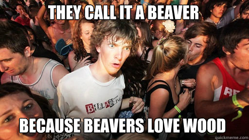 They call it a beaver because beavers love wood - Sudden Clarity Clarence - quickmeme