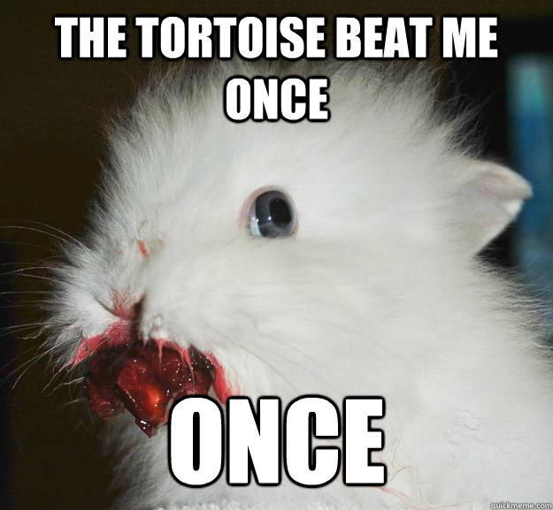 The tortoise beat me once once - Brutality Bunny - quickmeme