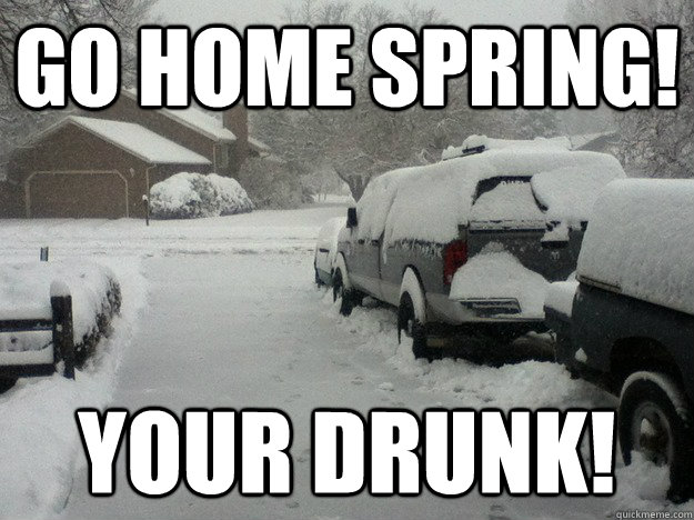 Go home spring! Your drunk! - drunken spring - quickmeme