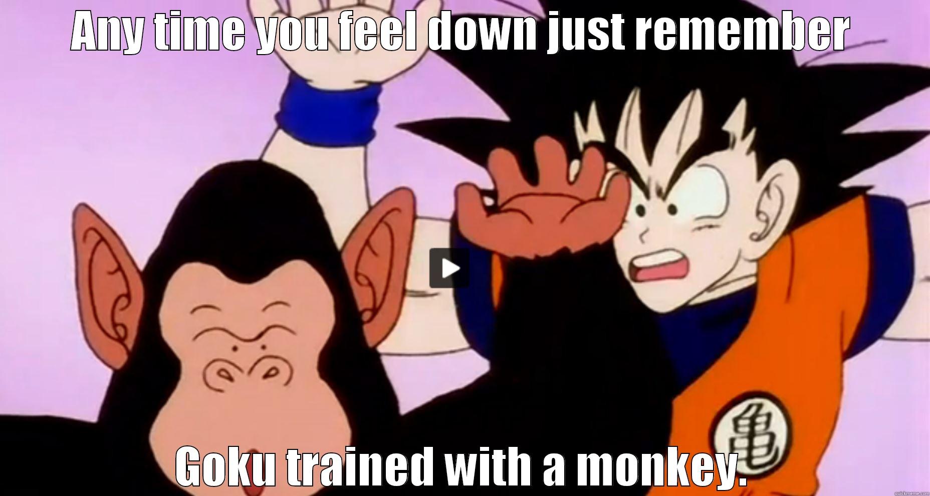 Any time you feel down, remember goku trained with a monkey. - quickmeme