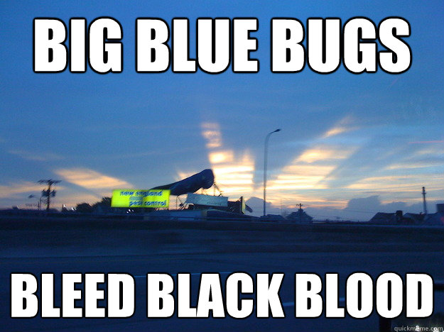 big blue bugs bleed black blood - Lolz - quickmeme