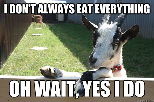 I don't always eat everything oh wait, yes i do - Misc - quickmeme