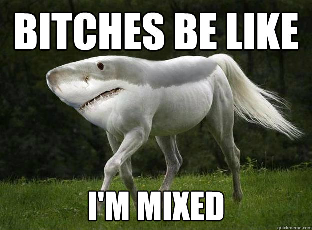 Bitches be like I'm mixed - Misc - quickmeme