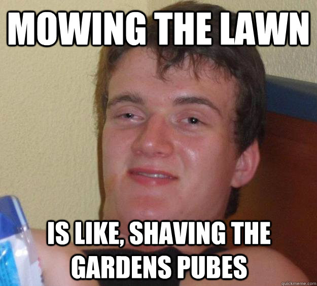 mowing the lawn is like, shaving the gardens pubes - Misc - quickmeme