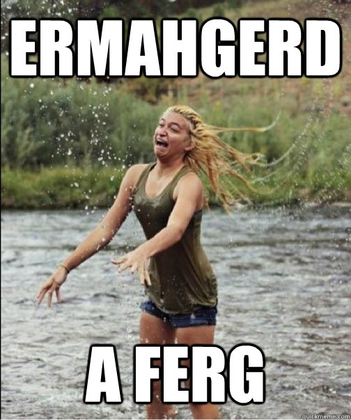 Ermahgerd a ferg - Misc - quickmeme