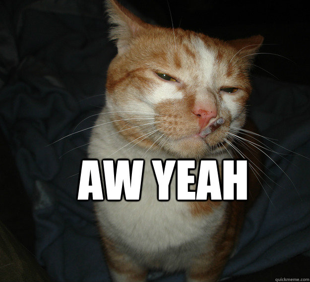 Aw Yeah Cool Cat Craig Quickmeme Aw Yeah Cool Cat Craig Quickmeme
