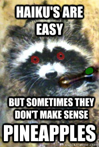 Haiku's are easy but sometimes they don't make sense pineapples - Misc - quickmeme