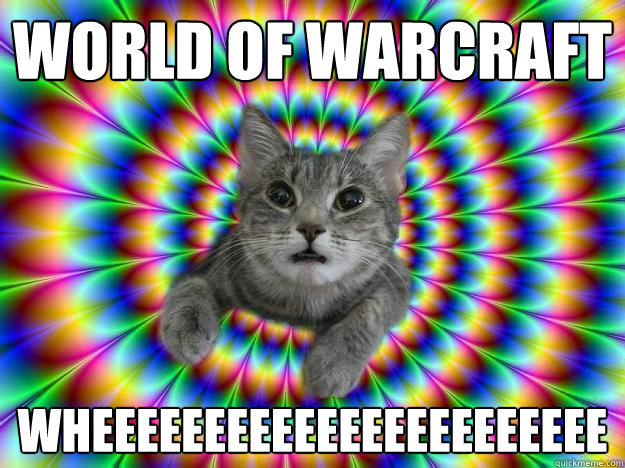 World of Warcraft wheeeeeeeeeeeeeeeeeeeeeee - Addictive personality cat - quickmeme