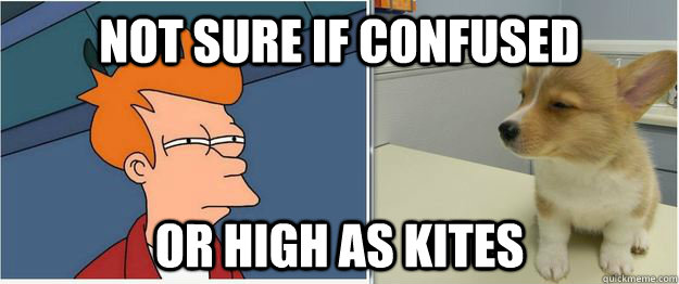 Fry Dog Staredown memes | quickmeme