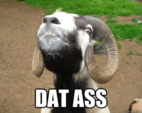 dat grass i want to nibble - Dat Ass Goat - quickmeme