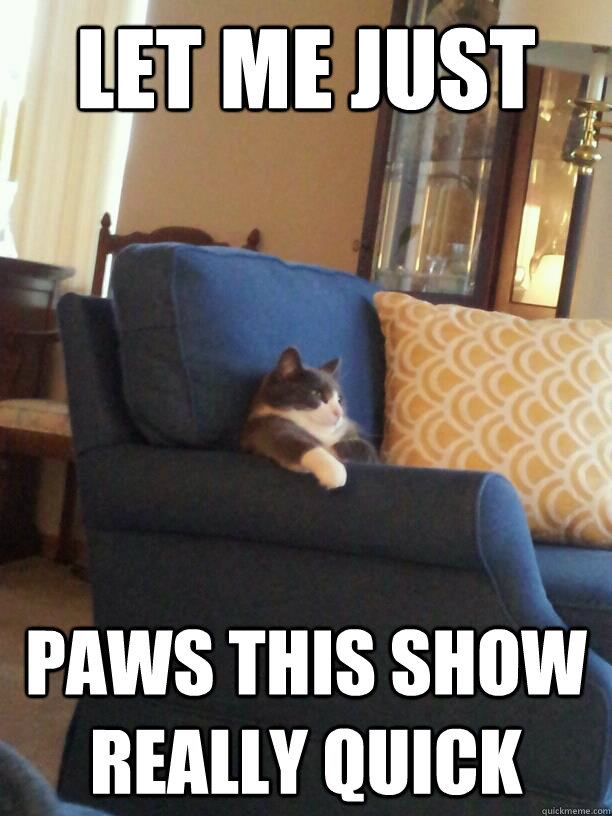 let me just paws this show really quick - Content Cat - quickmeme