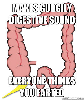 Makes gurgily digestive sound Everyone thinks you farted - Scumbag Bowels - quickmeme