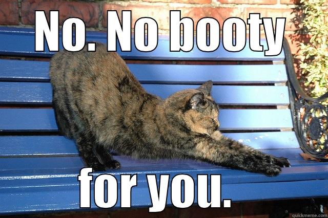 Cat booty - quickmeme