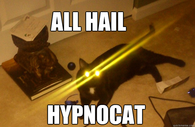 ALL HAIL HYPNOCAT - Hypnocat - quickmeme