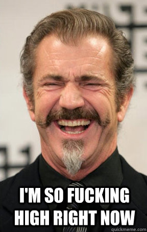 I'm so fucking high right now - Gel Mibson - quickmeme