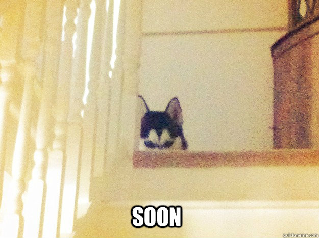 poon - Misc - quickmeme