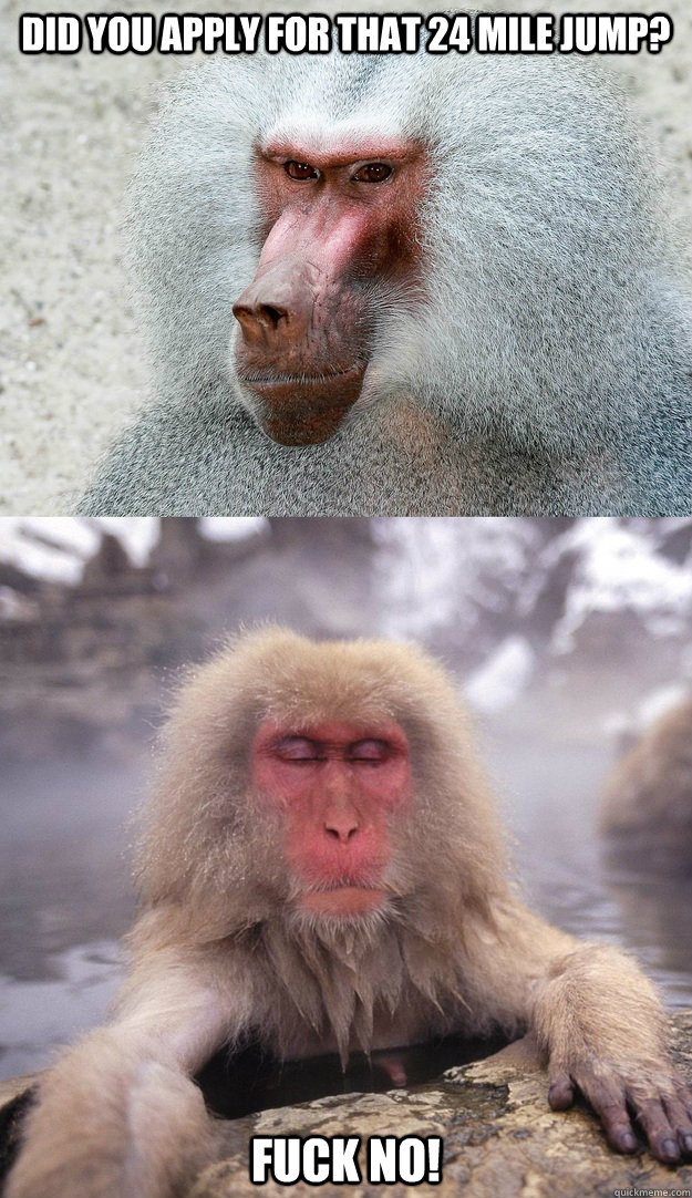 Did you apply for that 24 mile jump? Fuck No! - rhetorical monkeys - quickmeme