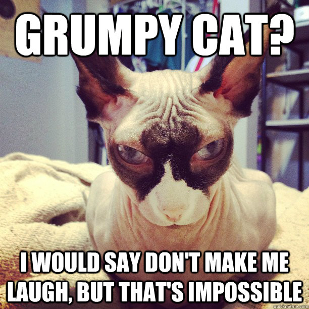 Grumpy Cat? I would say don't make me laugh, but that's impossible - Killer Cat - quickmeme