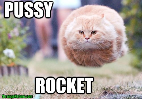 Pussy Rocket - Pussy Rocket - quickmeme