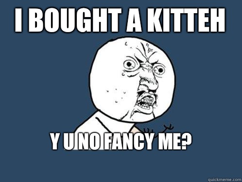 I bought a kitteh Y U No fancy me? - Y U No - quickmeme