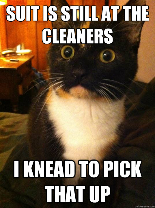 Suit is still at the cleaners I knead to pick that up - Leisure Cat - quickmeme
