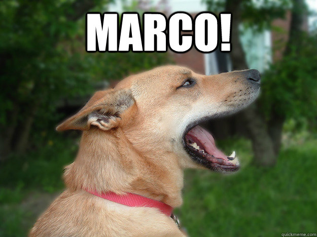 marco! - Misc - quickmeme