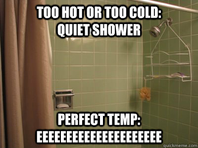 too hot or too cold: quiet shower perfect temp: eeeeeeeeeeeeeeeeeeeee - Misc - quickmeme