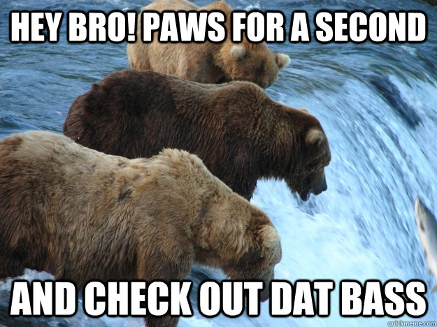 Hey bro! Paws for a second and check out dat bass - Frat House Bears - quickmeme
