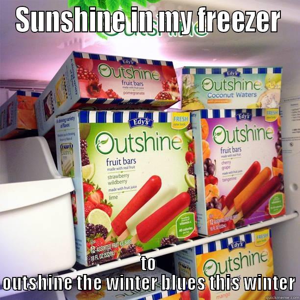 A freezer full of Sunshine to Outshine. - quickmeme