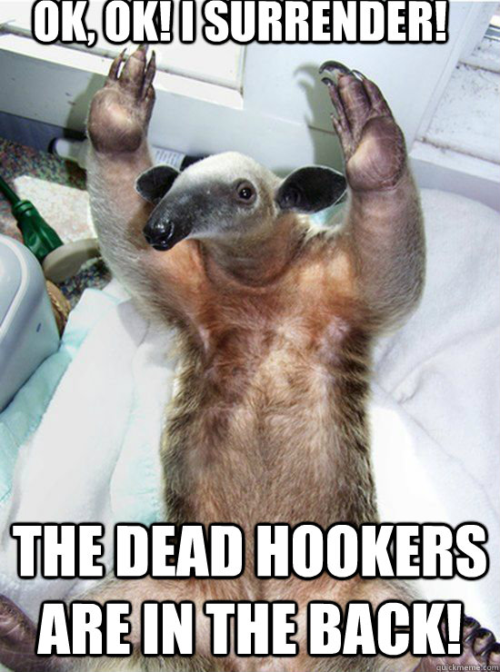 OK, OK! I surrender! The dead hookers are in the back! - Guilty Anteater - quickmeme