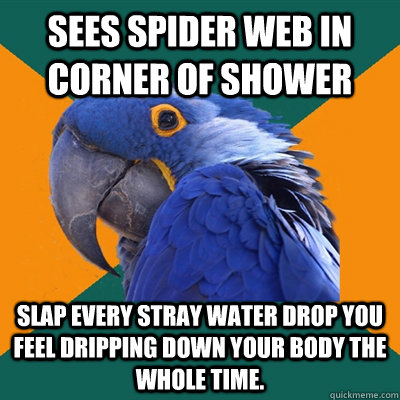 sees spider web in corner of shower SLAP EVERY STRAY WATER DROP YOU FEEL DRIPPING DOWN YOUR BODY ...
