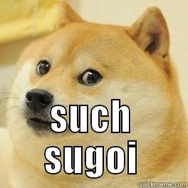 such sugoi doge - quickmeme