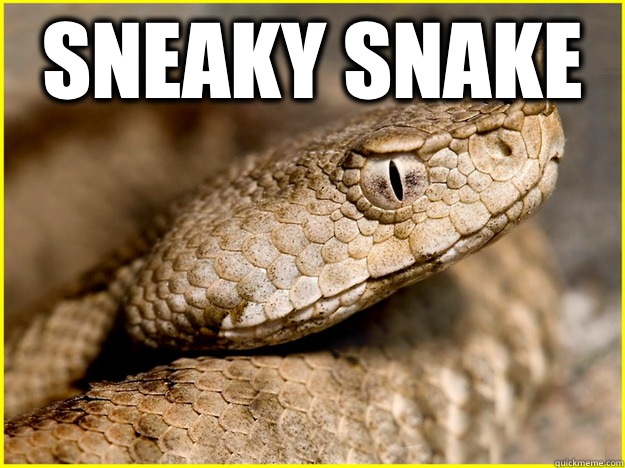 Sneaky snake - Sneaky Snake - quickmeme